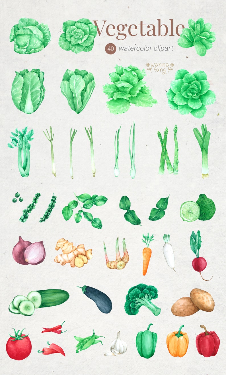 Watercolor Vegetable Clipart, Tomato, Pepper, Broccoli, Onion, Cabbage ...