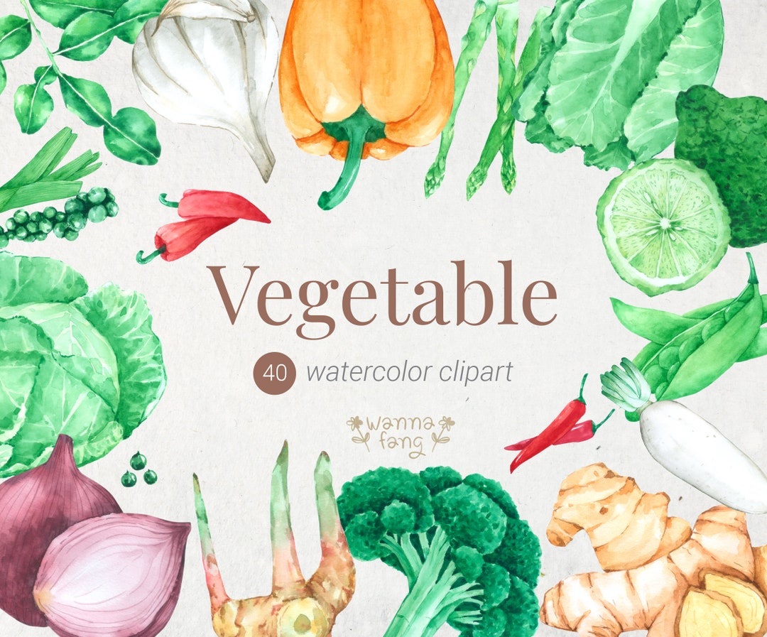 Watercolor Vegetable Clipart, Tomato, Pepper, Broccoli, Onion, Cabbage ...