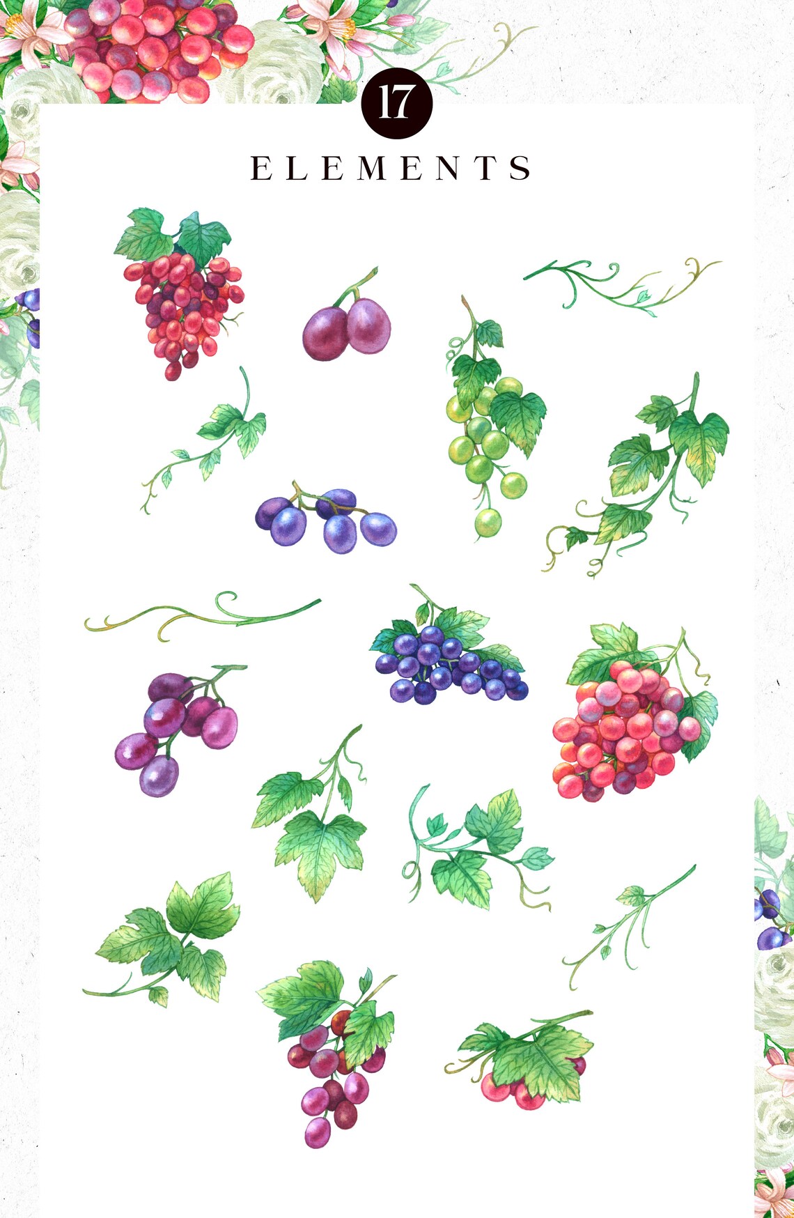 Grape Clipart Watercolor, Grape Fruit Clipart, Grape Png, Floral ...