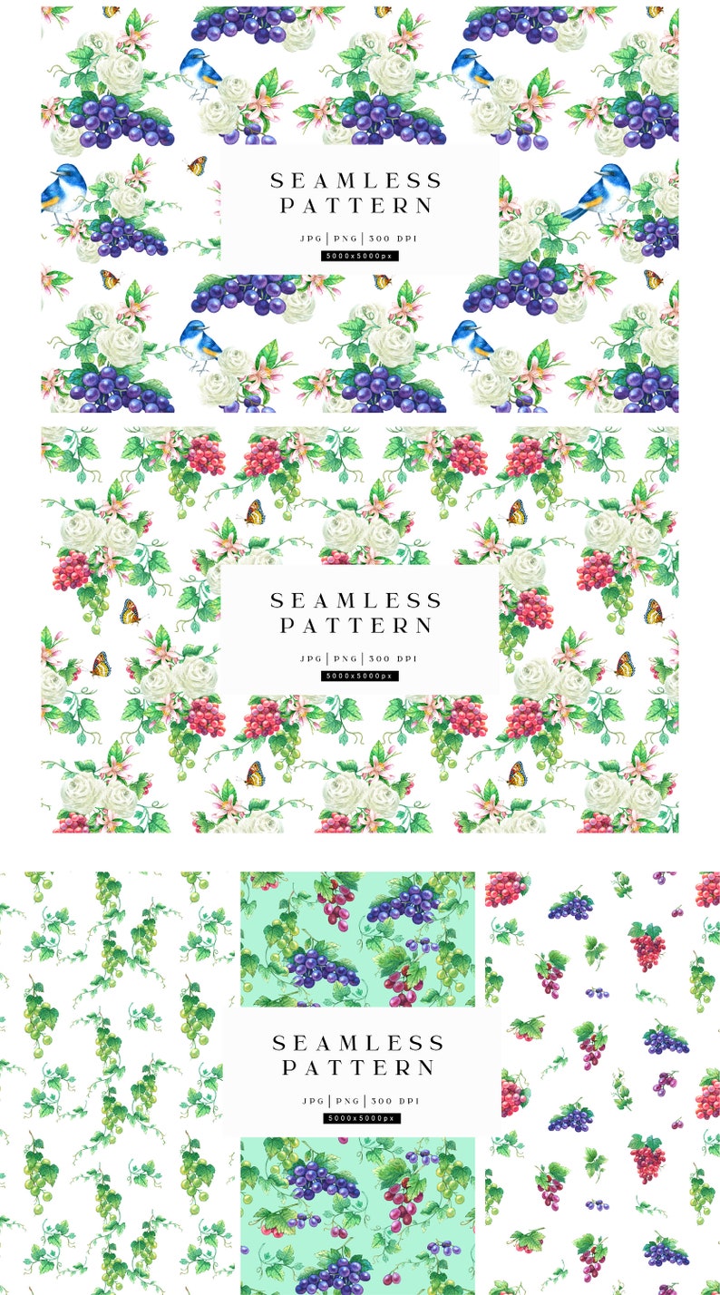 Grape Clipart Watercolor, Grape Fruit Clipart, Grape Png, Floral ...