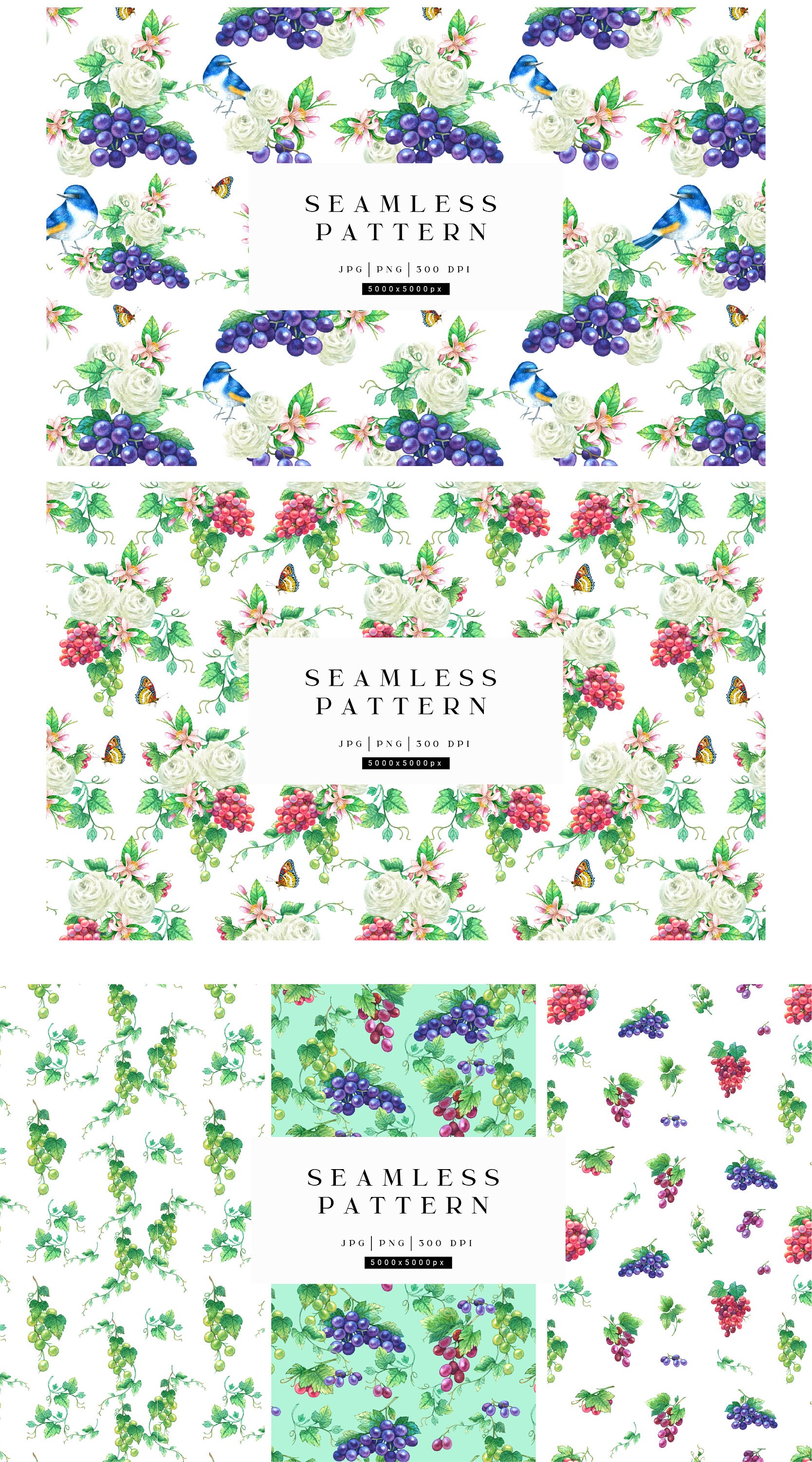 Grape Clipart Watercolor, Grape Fruit Clipart, Grape Png, Floral ...