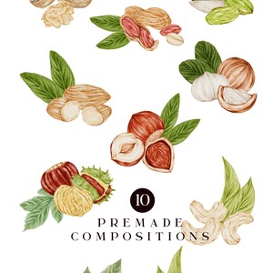 Watercolor Nuts Clipart, Nuts Set Clipart, Healthy Food PNG, Peanuts ...