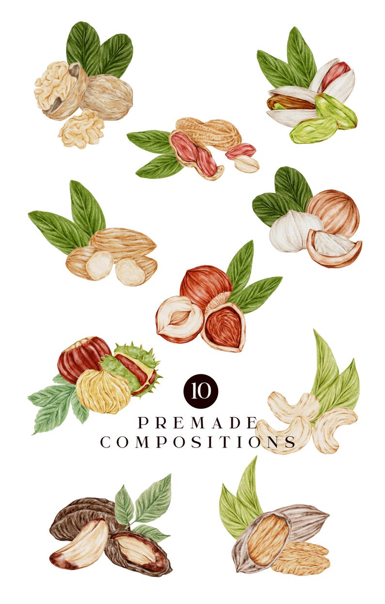 Watercolor Nuts Clipart, Nuts Set Clipart, Healthy Food PNG, Peanuts ...