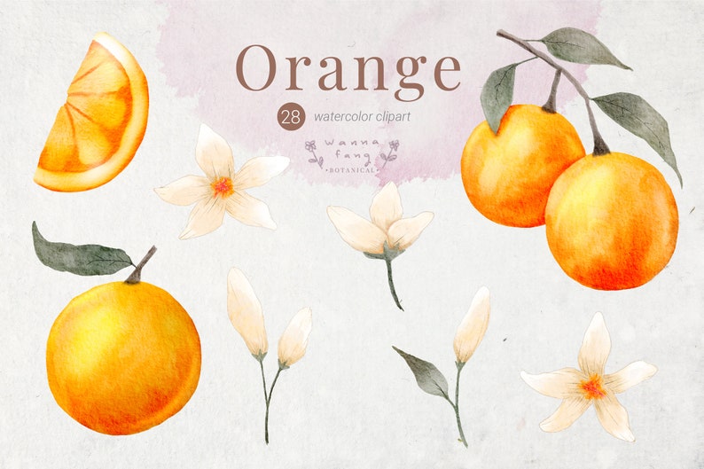 Orange Flower Watercolor Clipart, Fruit Watercolor Clipart, Instant ...