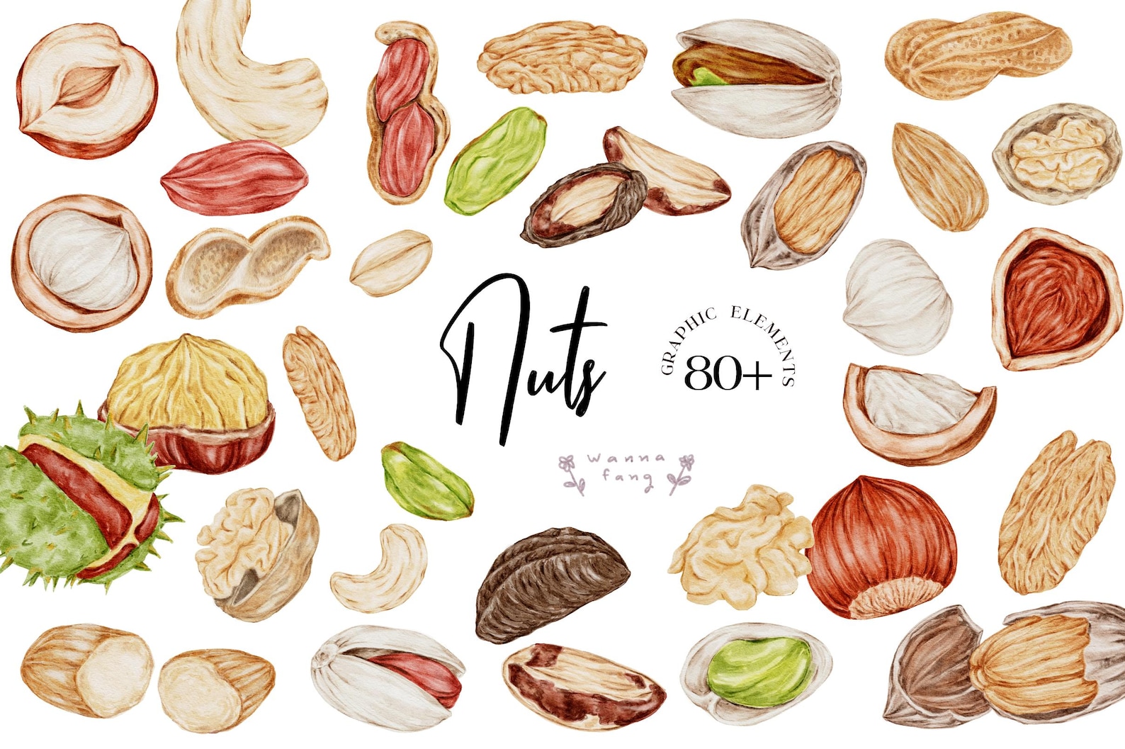 Watercolor Nuts Clipart, Nuts Set Clipart, Healthy Food PNG, Peanuts ...