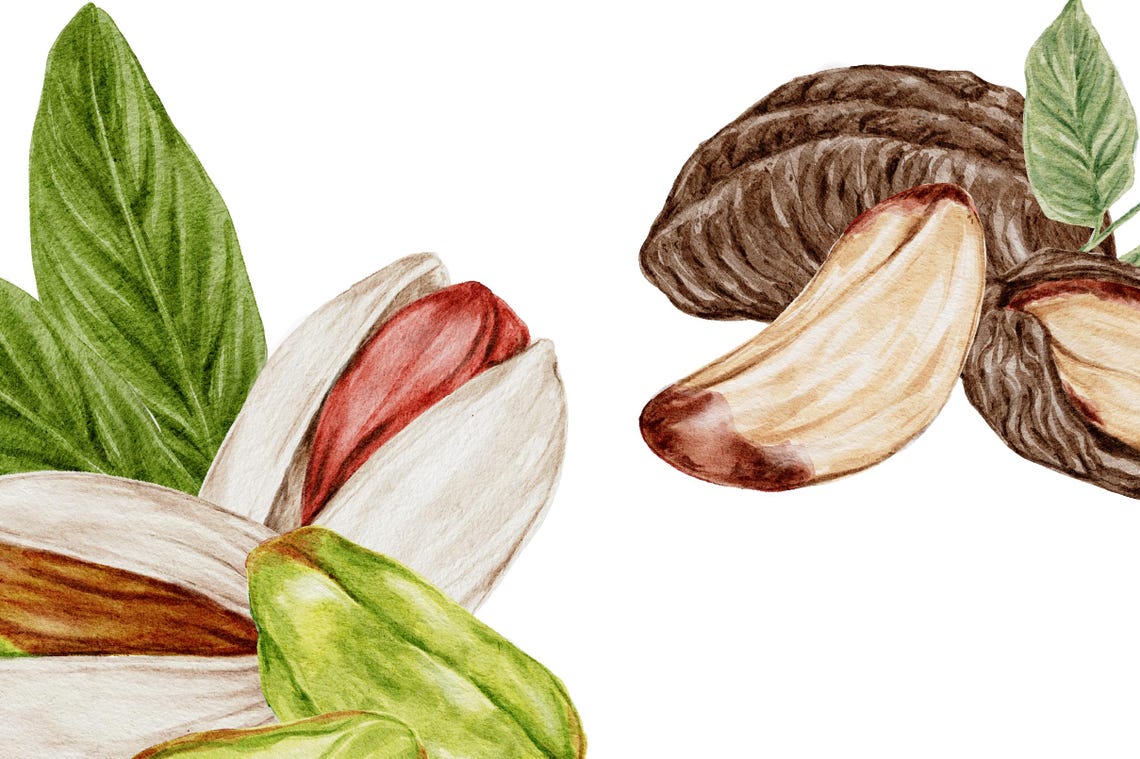 Watercolor Nuts Clipart, Nuts Set Clipart, Healthy Food PNG, Peanuts ...