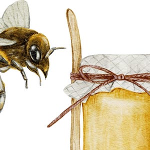 Honey Bee Watercolor Clipart, Watercolor Bees Clip Art, Honeycomb ...