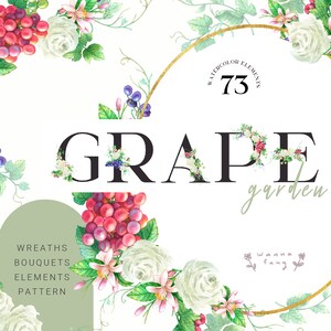 Grape Clipart Watercolor, Grape Fruit Clipart, Grape Png, Floral ...