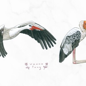 Watercolor Stork Clipart, Bird Clipart, Animal Clipart, Baby Wall Art ...