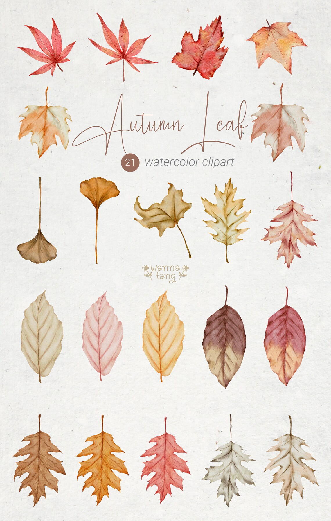 Autumn Leaf Watercolor Clipart, Autumn Clipart, Fall Clipart, Fall ...