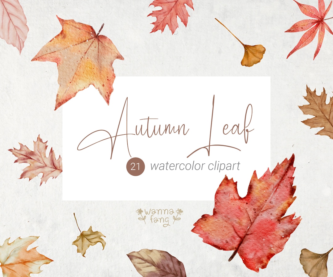 Autumn Leaf Watercolor Clipart, Autumn Clipart, Fall Clipart, Fall ...