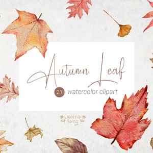 Autumn Leaf Watercolor Clipart, Autumn Clipart, Fall Clipart, Fall ...
