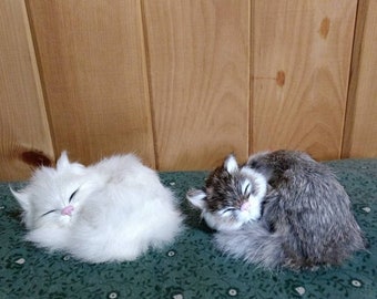 Furry Cats | Etsy