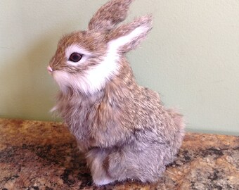 Realistic Rabbit | Etsy