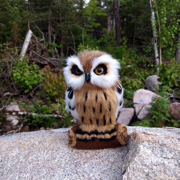 Realistic Owl - Etsy