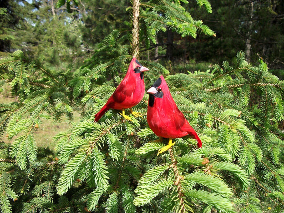 Handmade Cardinal Bird Toy Cardinal Bird Replica Made With Real ...
