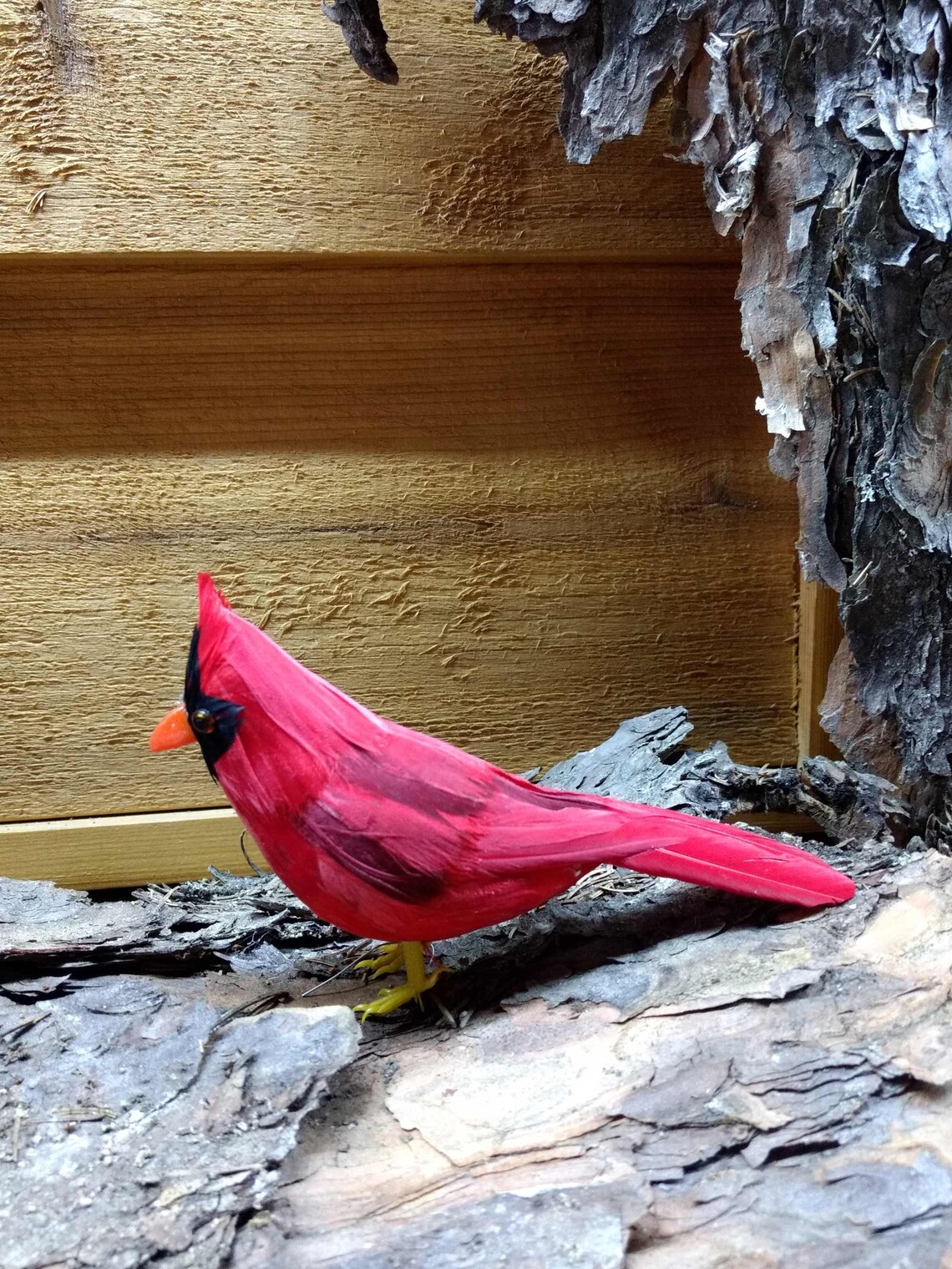 Handmade Cardinal Toy Cardinal Bird Replica Made With Real - Etsy