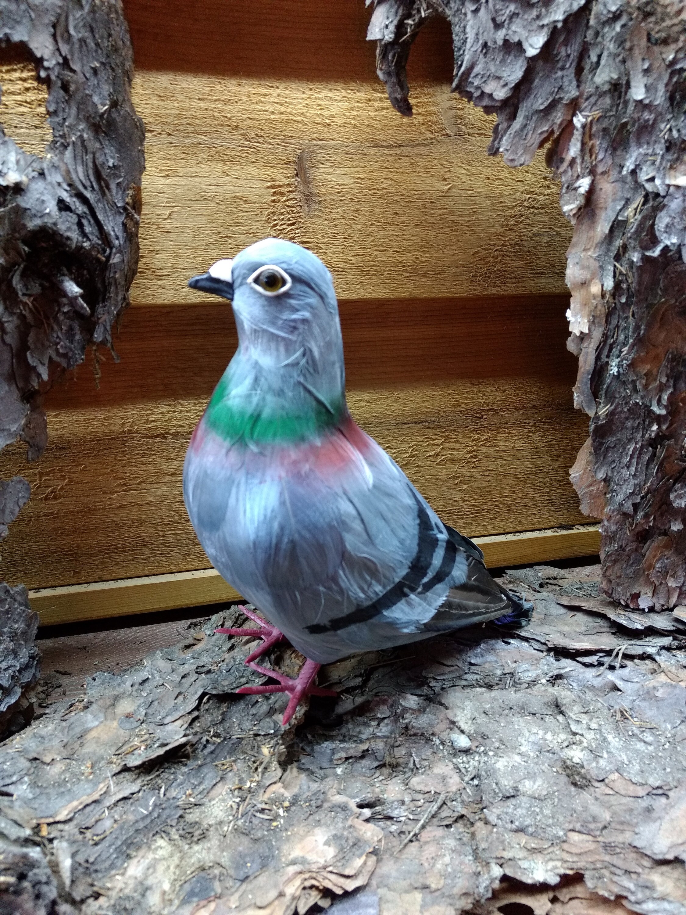 Handmade Pigeon Replica Fake Pigeon Figurine that looks Real | Etsy