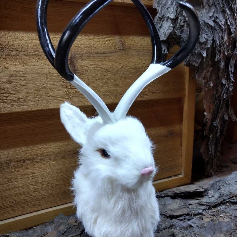 Jackalope Taxidermy - Etsy