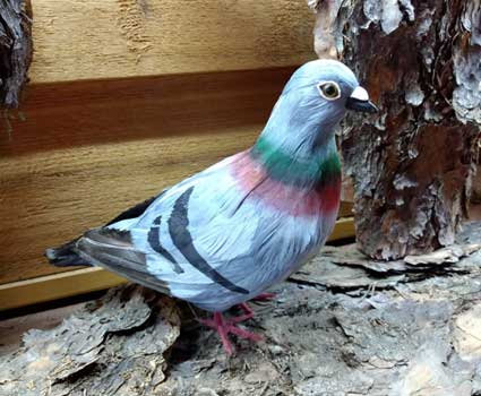 Handmade Pigeon Replica Fake Pigeon Figurine That Looks Real - Etsy