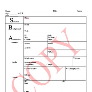 SBAR Brain Sheet Blank Single Patient - Etsy