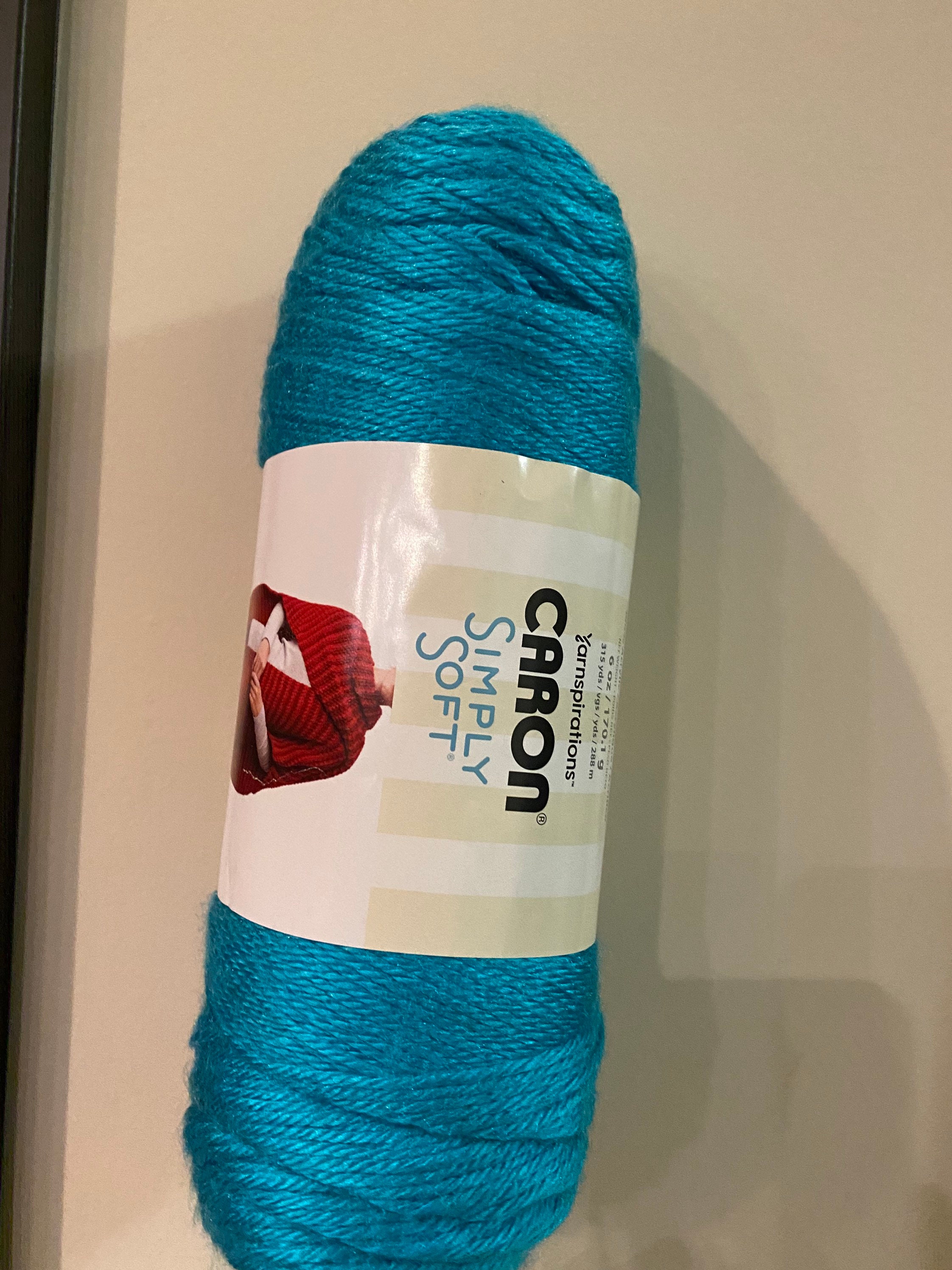 Caron Simply Soft Brites - Etsy