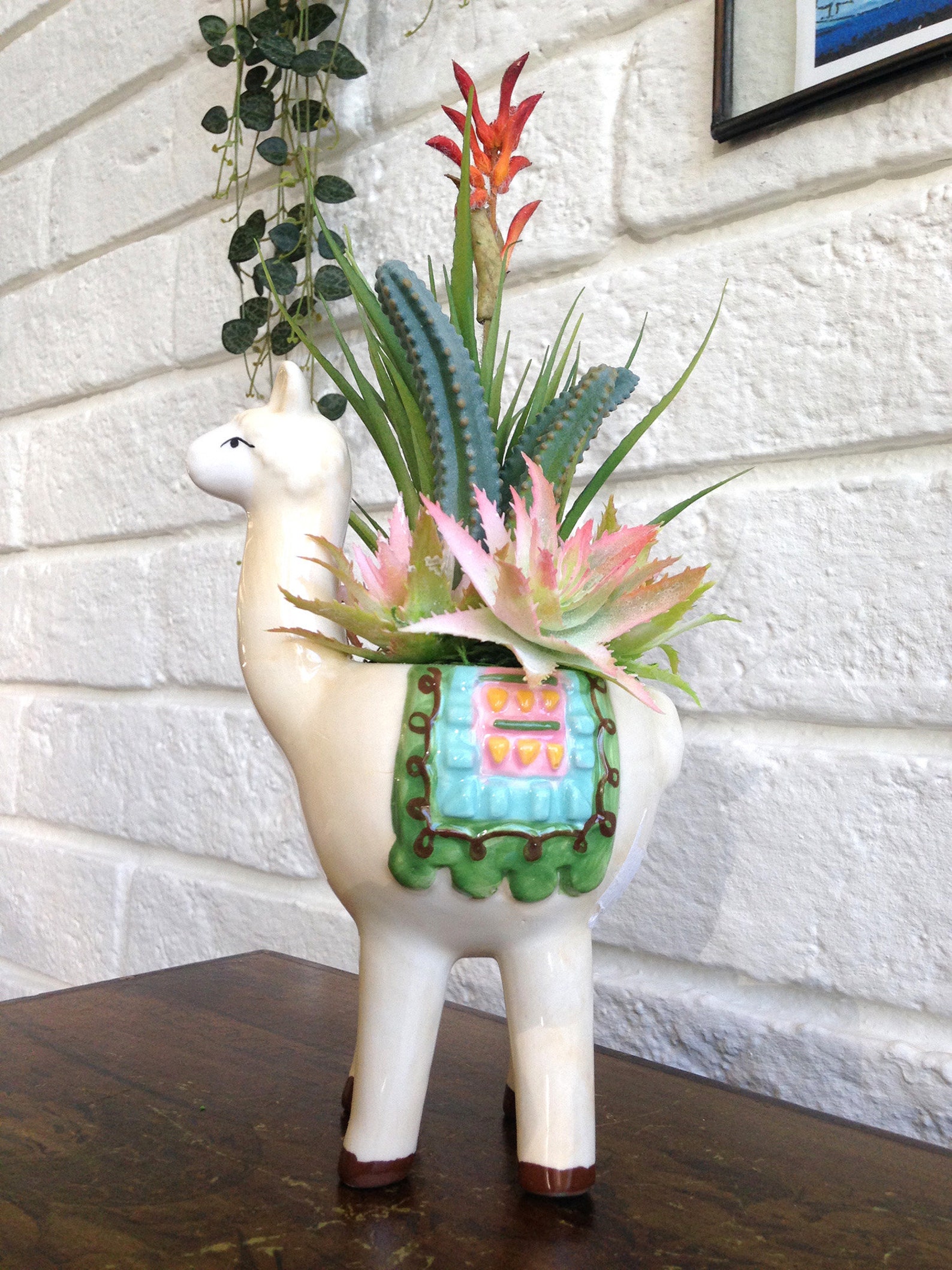 Llama Llama Gift Llama Decor Llama Party Succulent Gift - Etsy