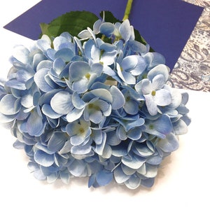 True Blue Hydrangea; Enhance Your Floral Design With Our Large High ...