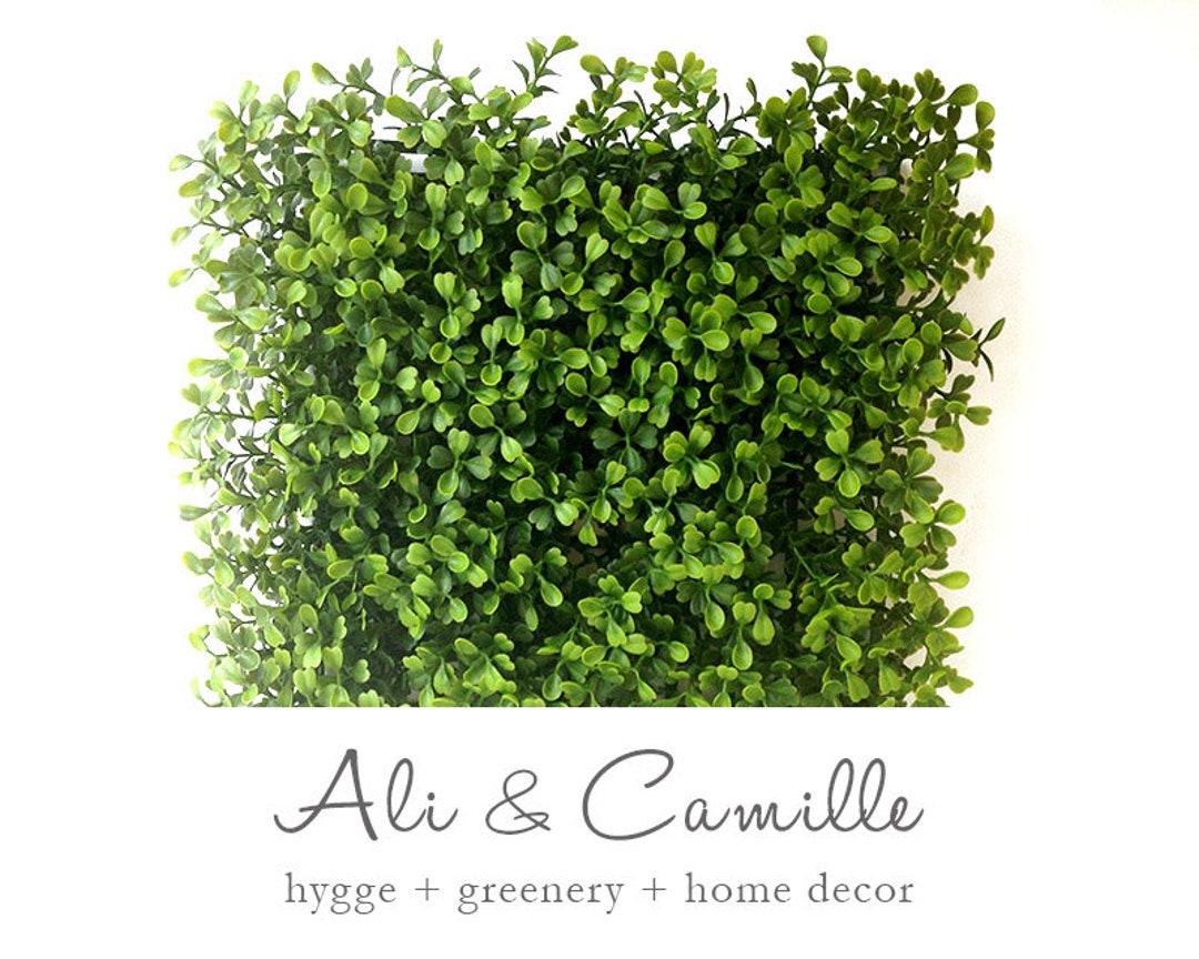 Backdrop Wedding, Boxwood Wall, Backdrop Photography, Boxwood Panel ...