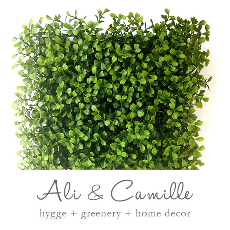 Greenery Backdrop - Etsy