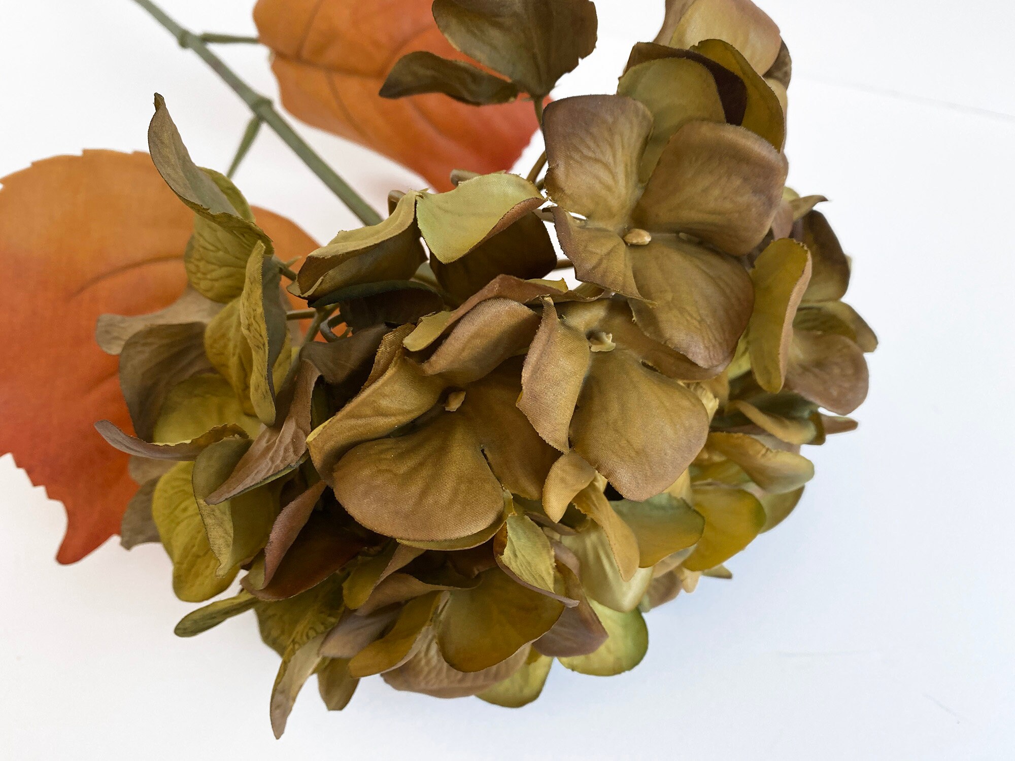 Green Hydrangea Dried Flower-look Beautiful Green Hydrangea - Etsy