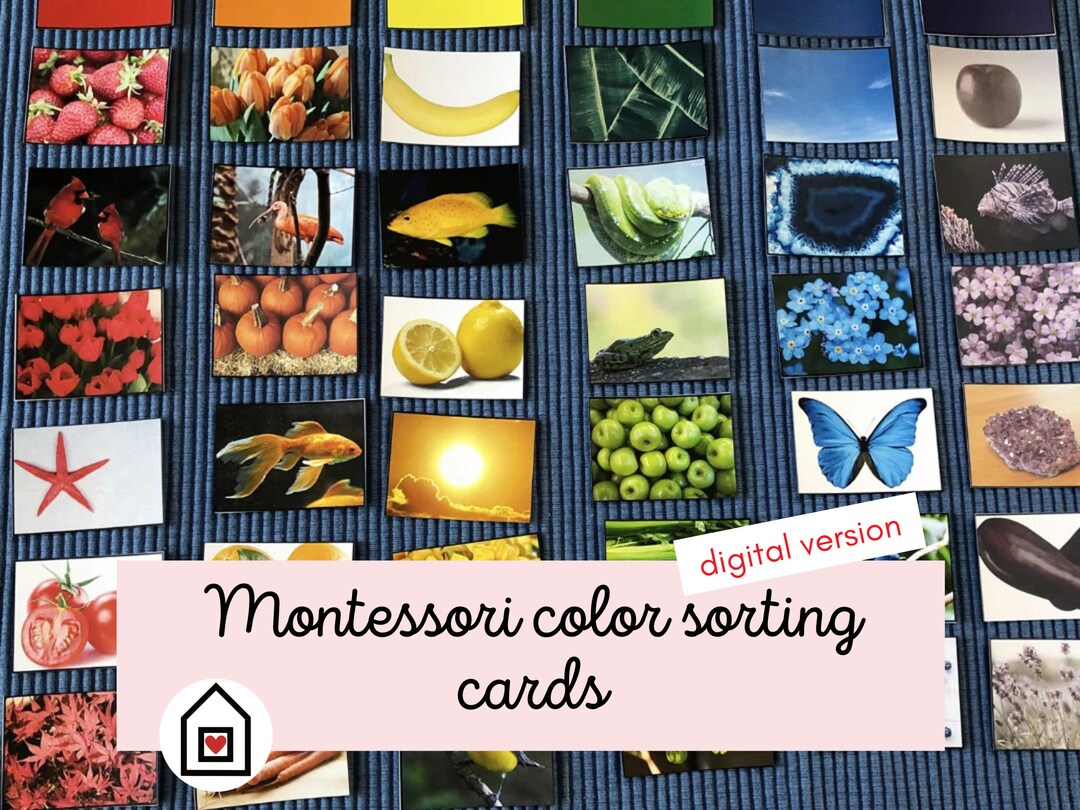 Montessori Color Sorting Cards - Etsy