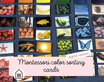 Bird Color Sorting Cards Montessori Sensorial Printable - Etsy