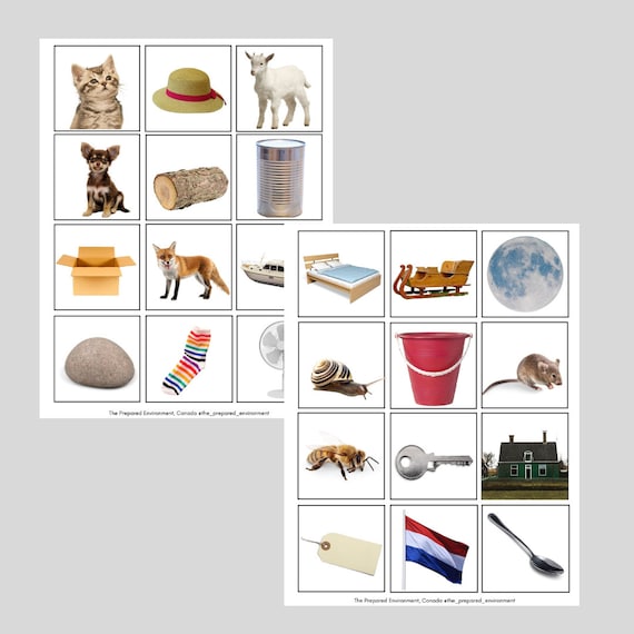 Montessori Rhyming Sorting Cards - Etsy