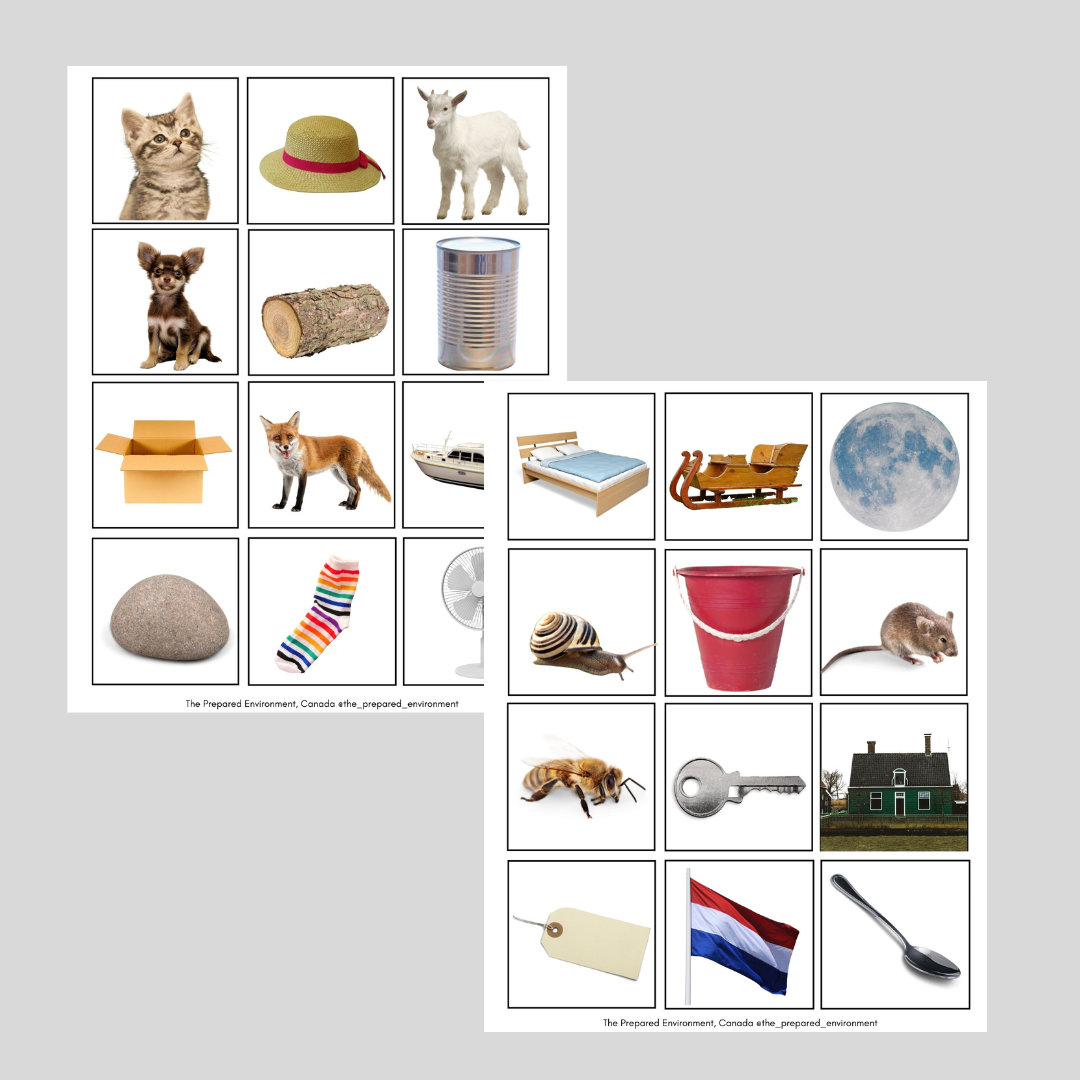 Montessori Rhyming Sorting Cards - Etsy