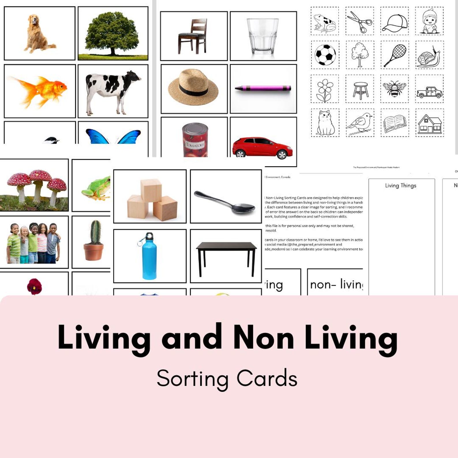 Living and Non-living Sorting Cards for Homeschool and School ...