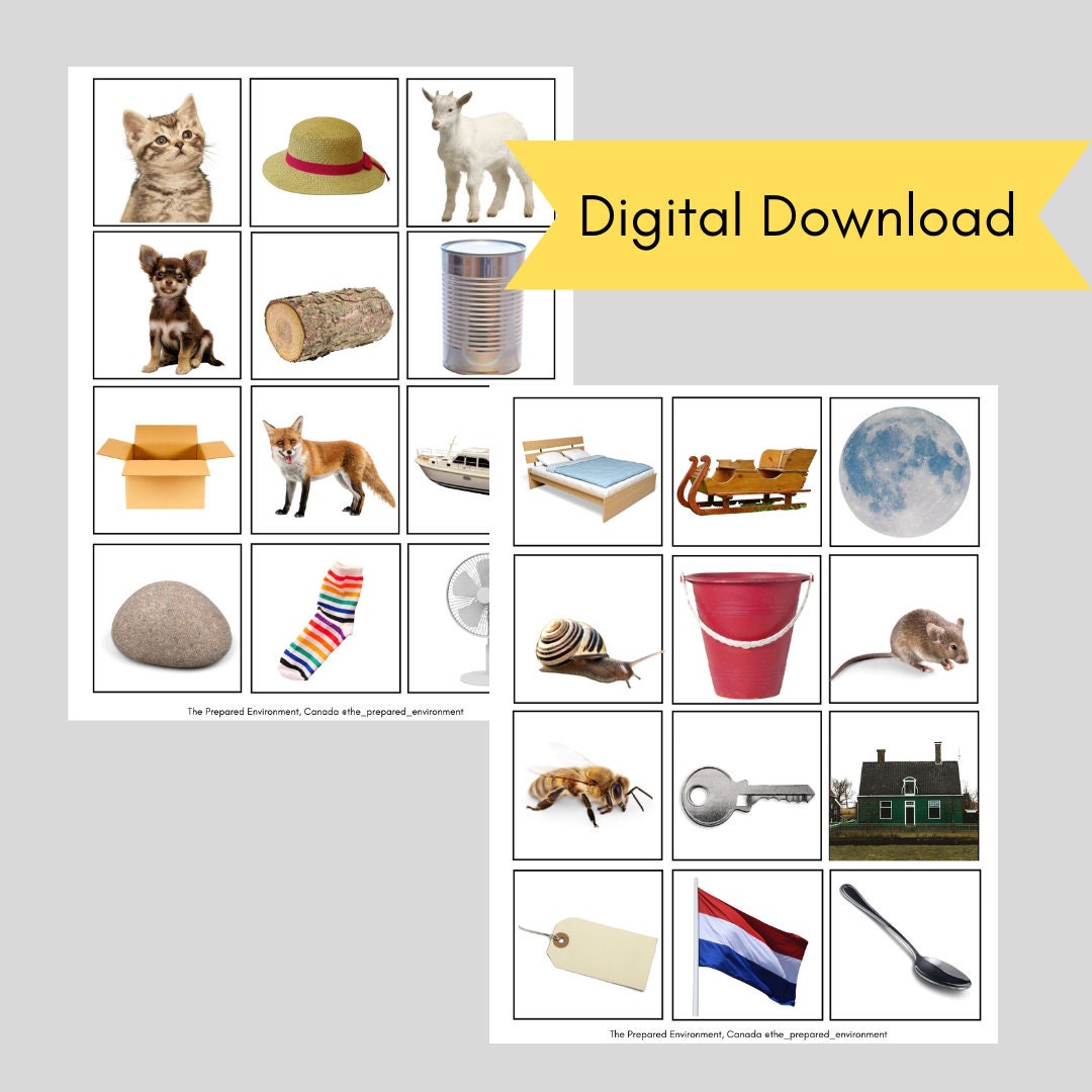 Montessori Rhyming Sorting Cards - Etsy