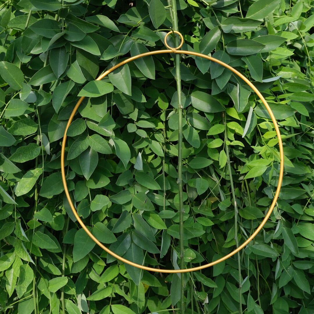 Round Hoop Wreath / Metal Blank Flower Hoop for Front Door Flower Wall ...