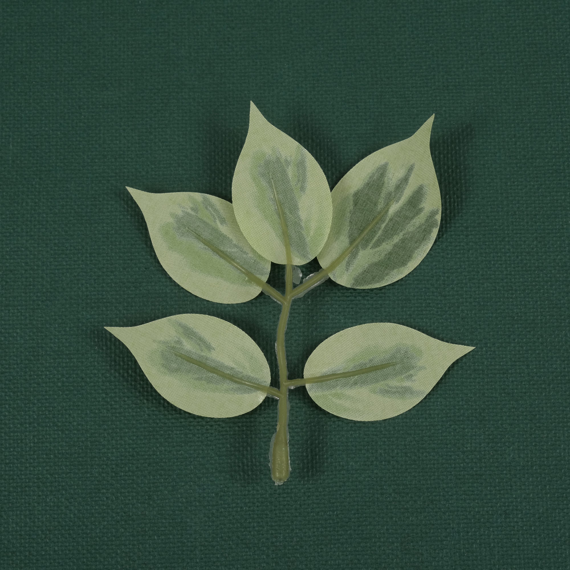 2colors Artificial Silk Ficus Leaf Fake Small Green Leaf Tiny Fake ...