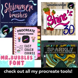 Procreate Beginners Guide Ebook With Videos and How to Make Money Online Free Bonus - Etsy