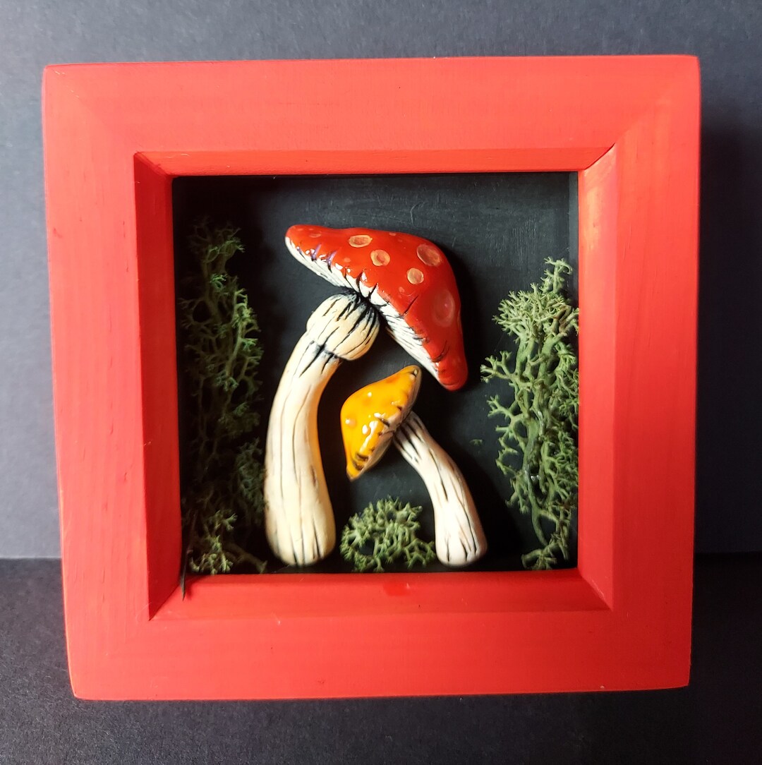 Wooden Box Frame Toadstool Art - Etsy