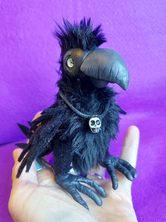 Fluffy Baby Crow