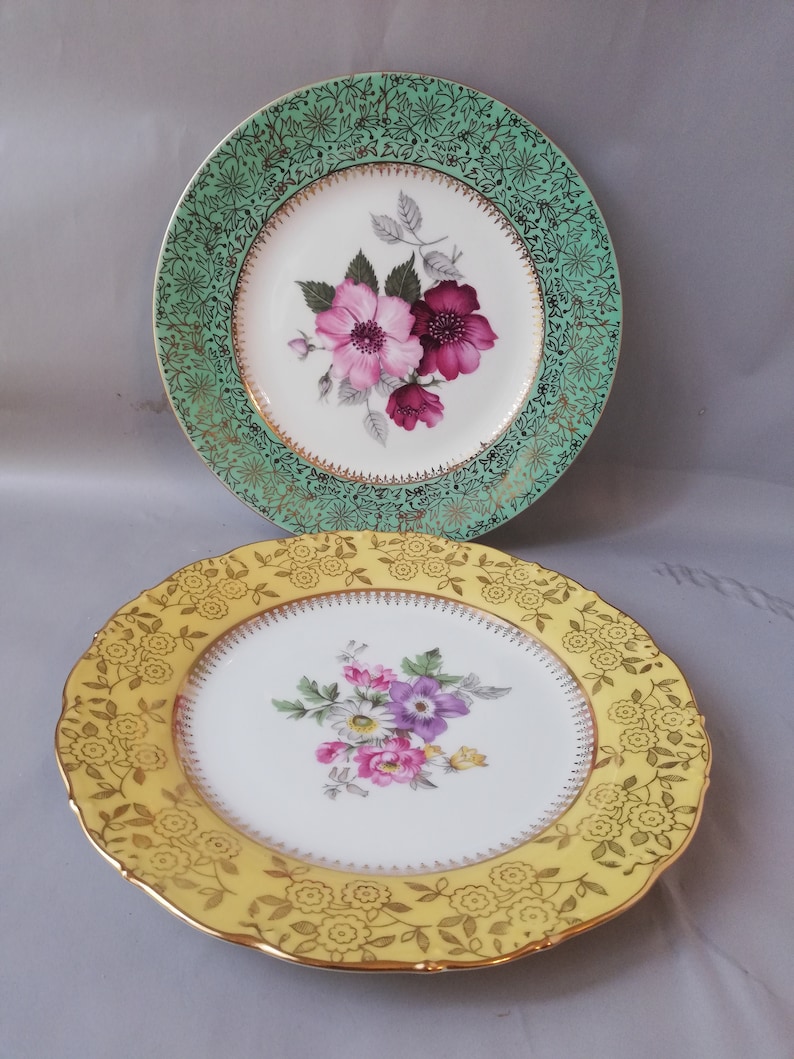 Bohemian Plate With Floral Motifs, Pirkenhammer Porcelain Plate From ...