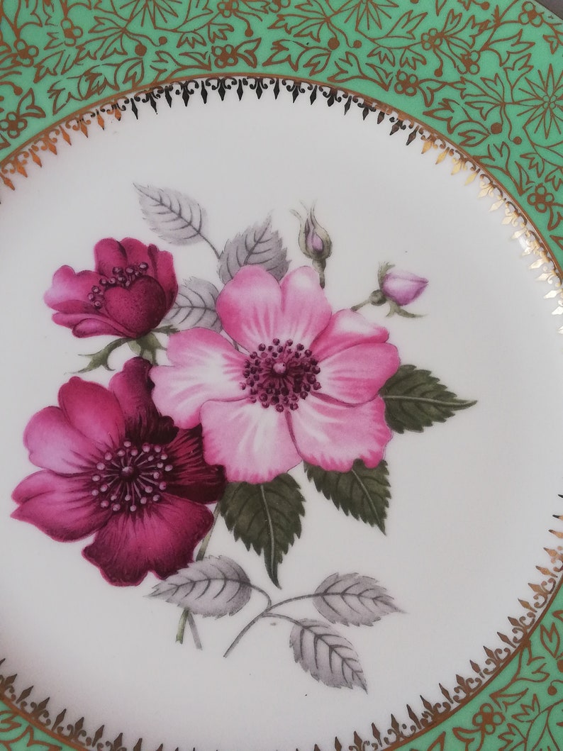Bohemian Plate With Floral Motifs, Pirkenhammer Porcelain Plate From ...