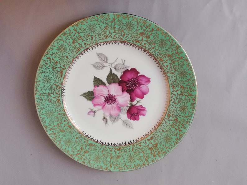 Bohemian Plate With Floral Motifs, Pirkenhammer Porcelain Plate From ...