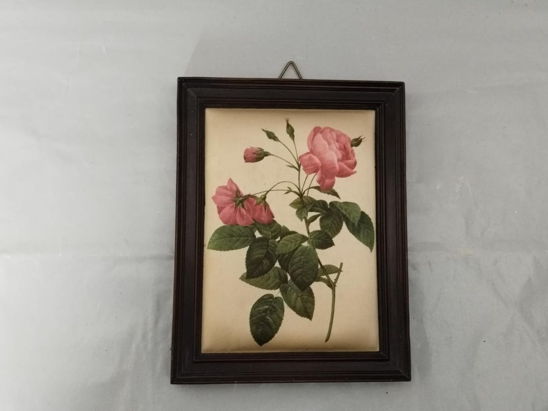 Antique Rose Picture in Wooden Frame - Silk, Italy 13x10 Cm - Perfect ...