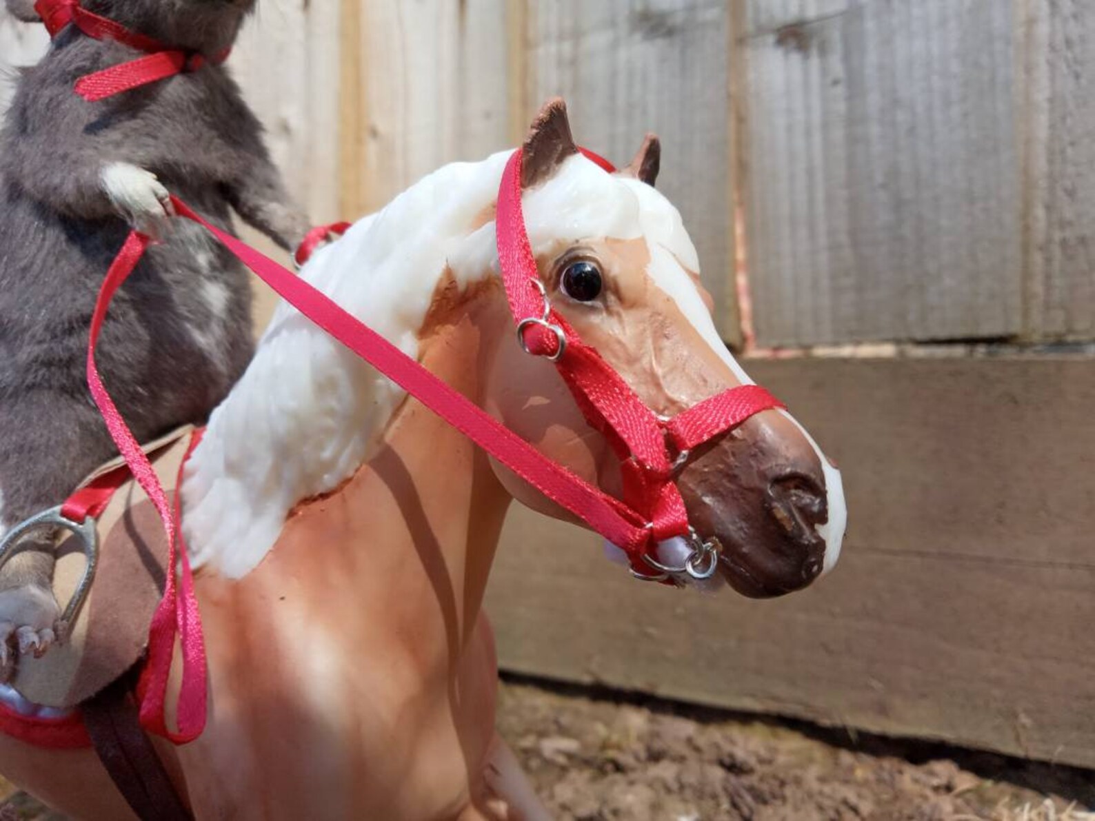 Taxidermy Anthropomorphic Rat Horse Riding OOAK Equestrian | Etsy