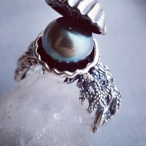 Nautical Clam and Pearl Sterling Silver Custom Ring - Etsy
