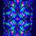 Chroma Zen blacklight Tapestry Psychedelic UV Reactive Fluorescent Wall ...
