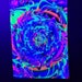 Acid Rain blacklight Trippy Tapestry Psychedelic UV Reactive ...